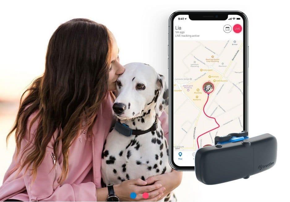 Trouvez la tranquillité d'esprit avec notre collier GPS pour chien