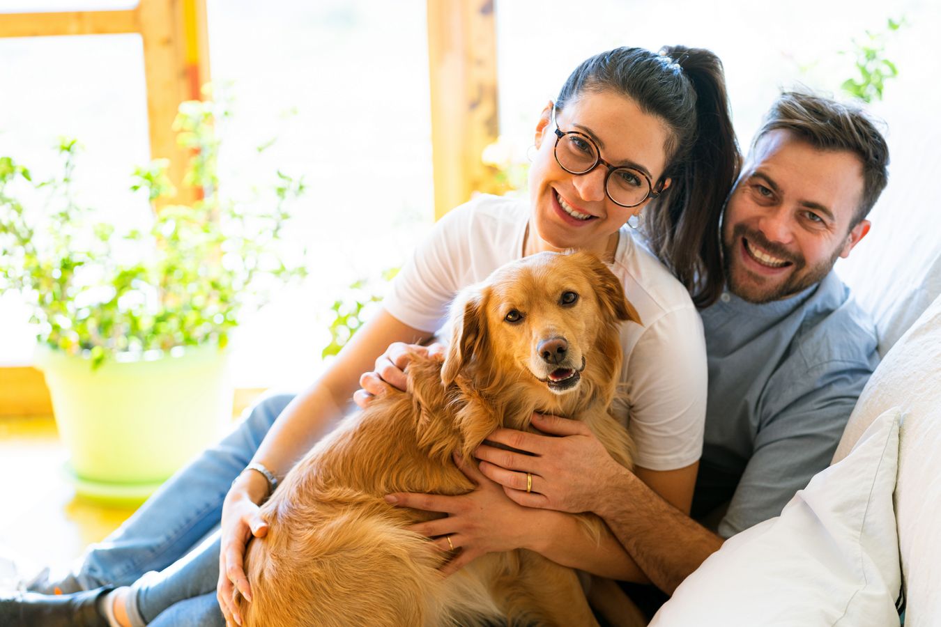 5 Astuces Pour Rendre Votre Chien Heureux D couvrez Les Cl s Du