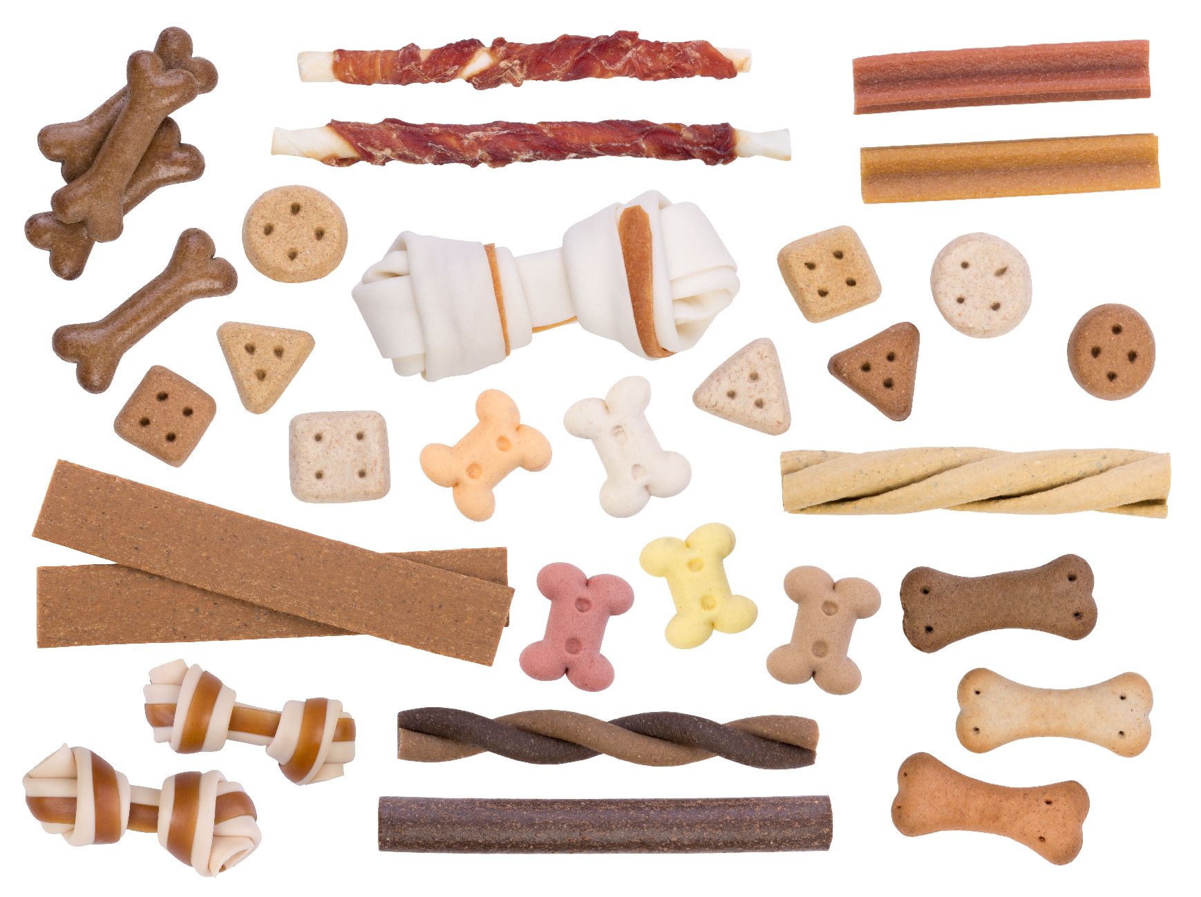 Quelles sont les meilleures friandises pour éduquer son chien